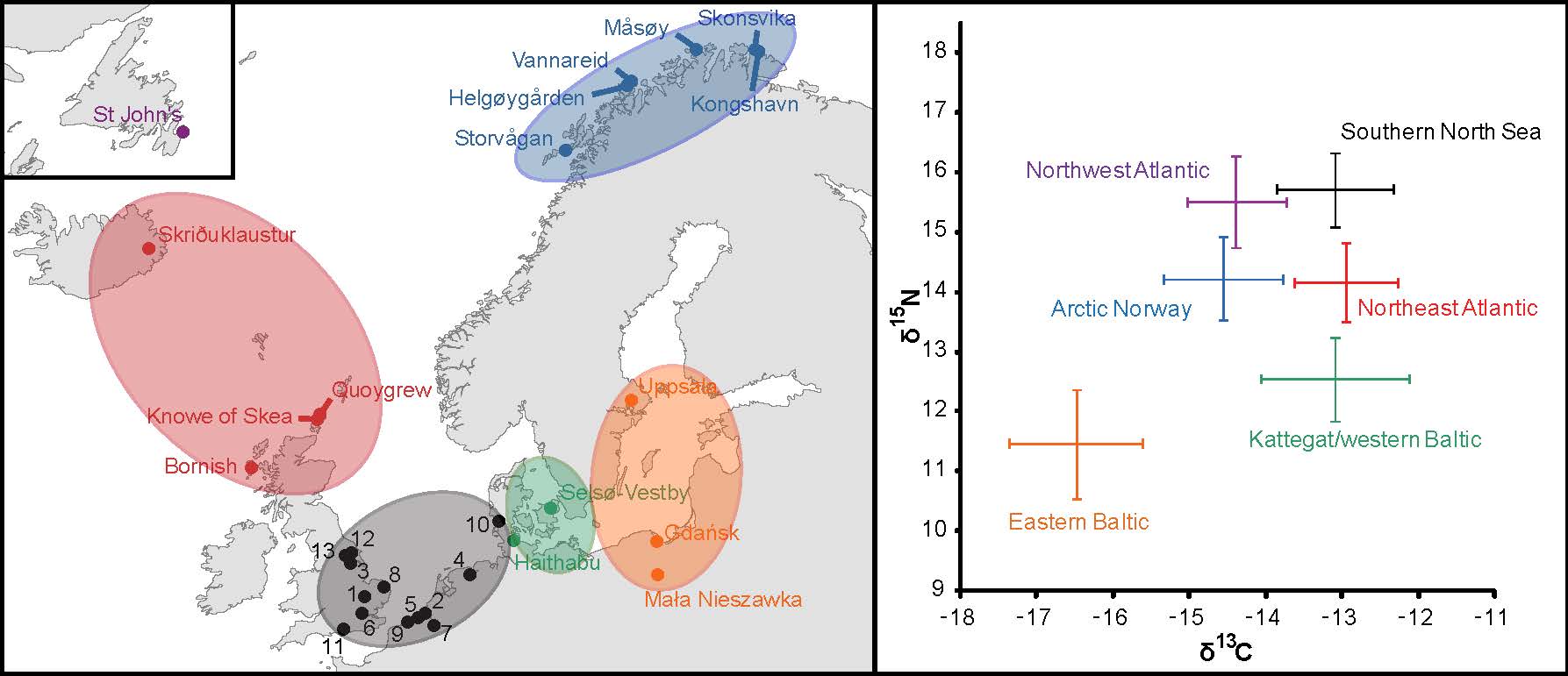 Fish for the City – Stable Isotopes in Zooarchaeology